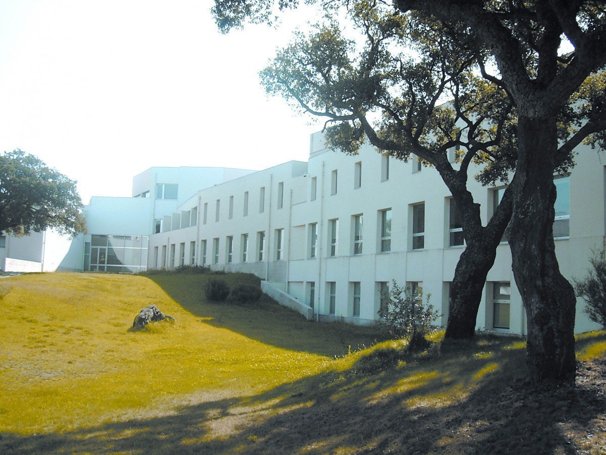 Covid-19: Instituto Politécnico de Setúbal vai produzir 250 viseiras ... Covid-19: Instituto Politécnico de Setúbal vai produzir 250 viseiras ...