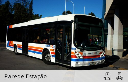 Covid-19: Transportadora Scotturb entra em 'lay-off' devido a quebra de ...