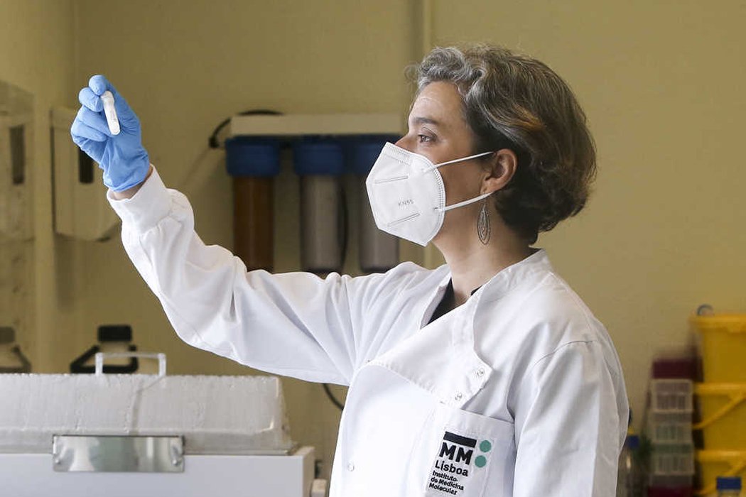 Investigadora Maria Mota otimista com números da malária mas pede mais ...
