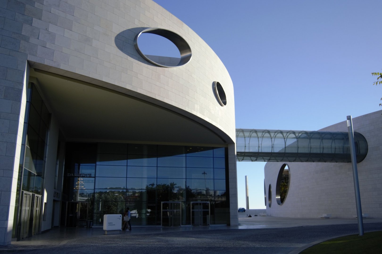 Trabalho de investigadora da Fundação Champalimaud reconhecido por ...