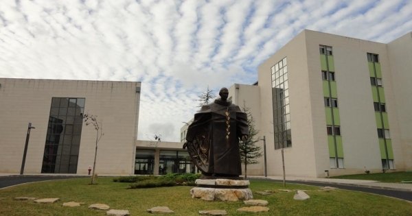 Ateliê que alivia efeitos da doença mental vence Prémio MSD/Maria José ...
